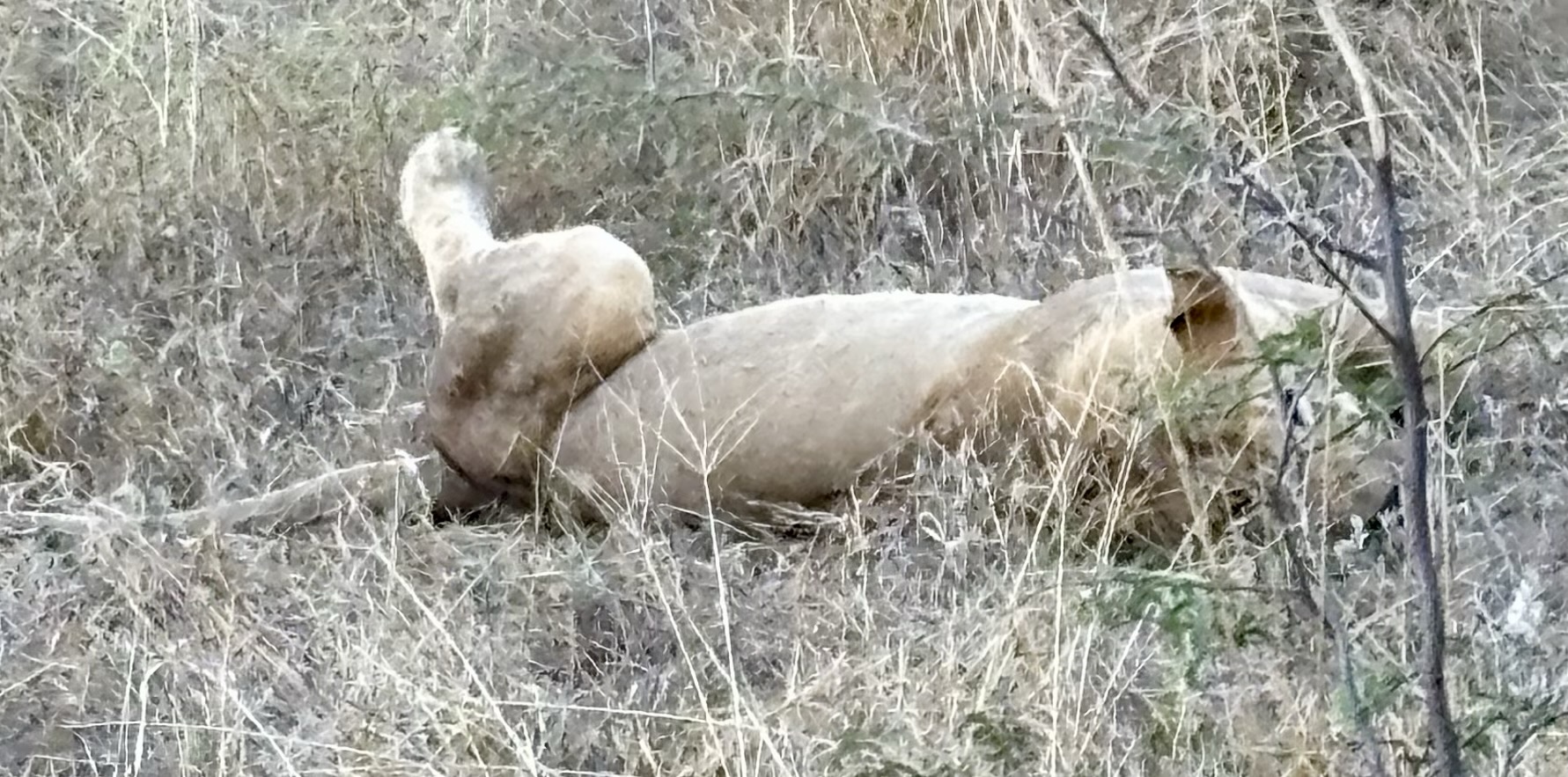Okavango Delta, Day 1 – Just Pete Hiking